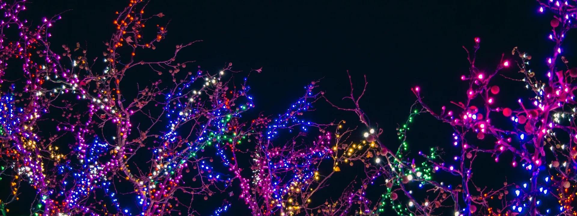 Office Christmas Parties | Manchester Christmas Parties 2024 ...